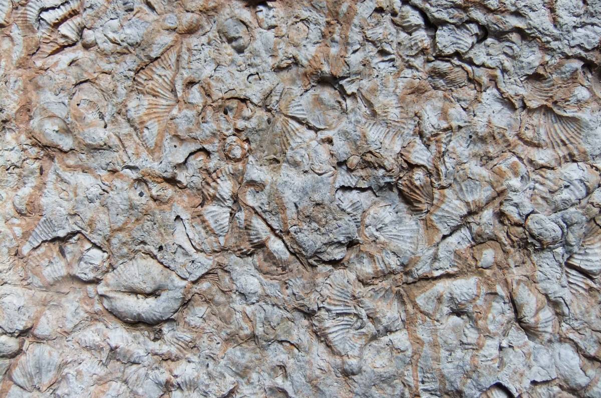 Geology Database and Articles | Swaledale and Arkengarthdale ...